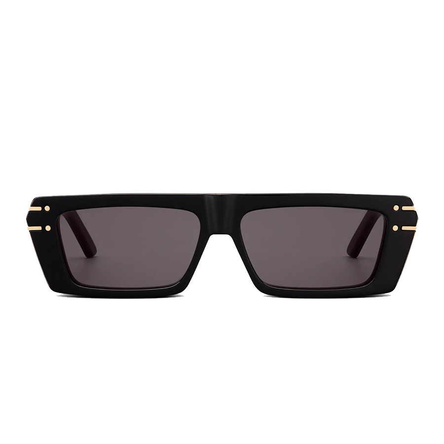 Kính Mát Dior Diorsignature S2u Black Rectangular Sunglasses Dsgts2uxr10a0 Màu Đen